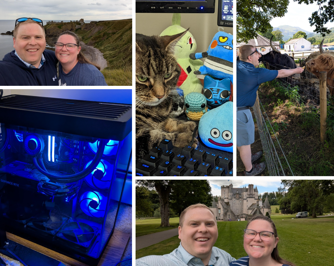 Employee Spotlight - David - Proper Sky